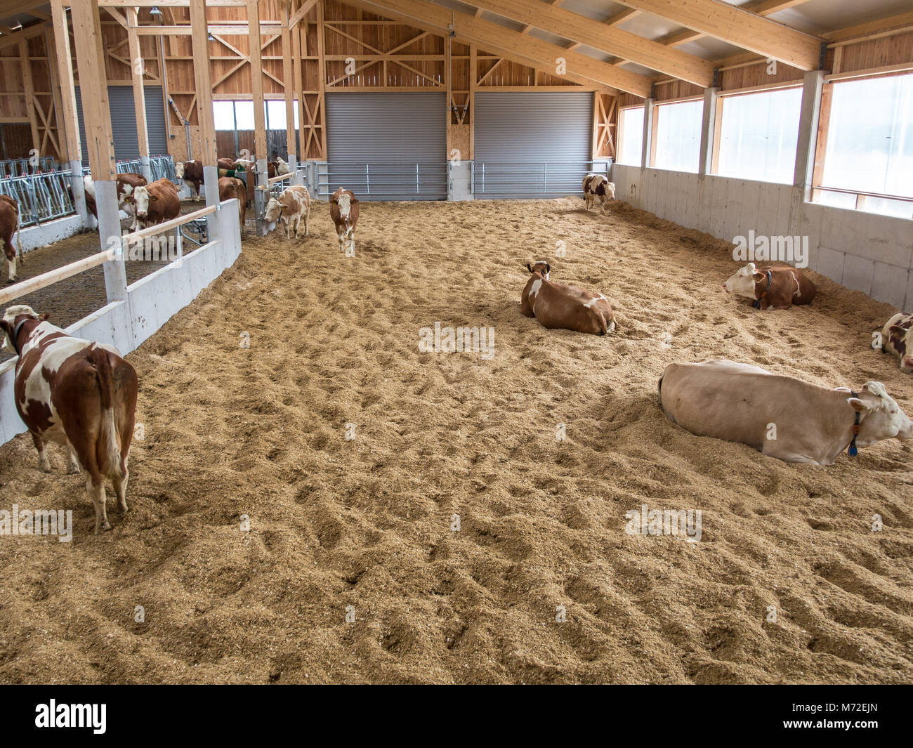 Compost stable 6 Stock Photo - Alamy
