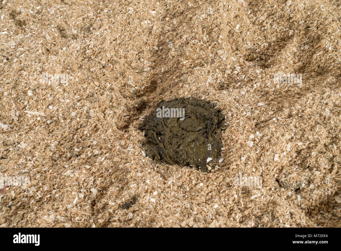 Compost stable 8 Stock Photo - Alamy