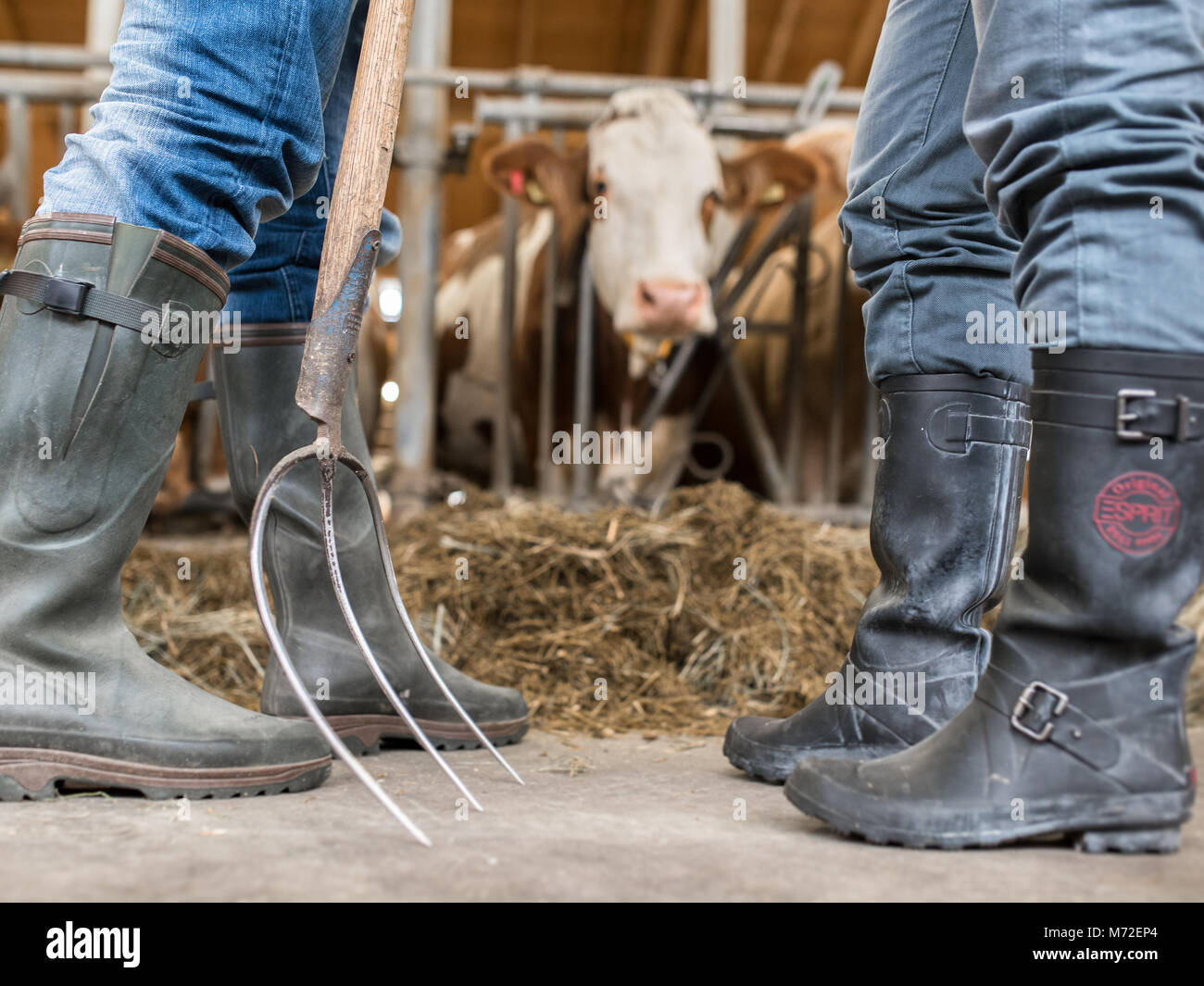 Farmer couple stable work 13 Stock Photo - Alamy
