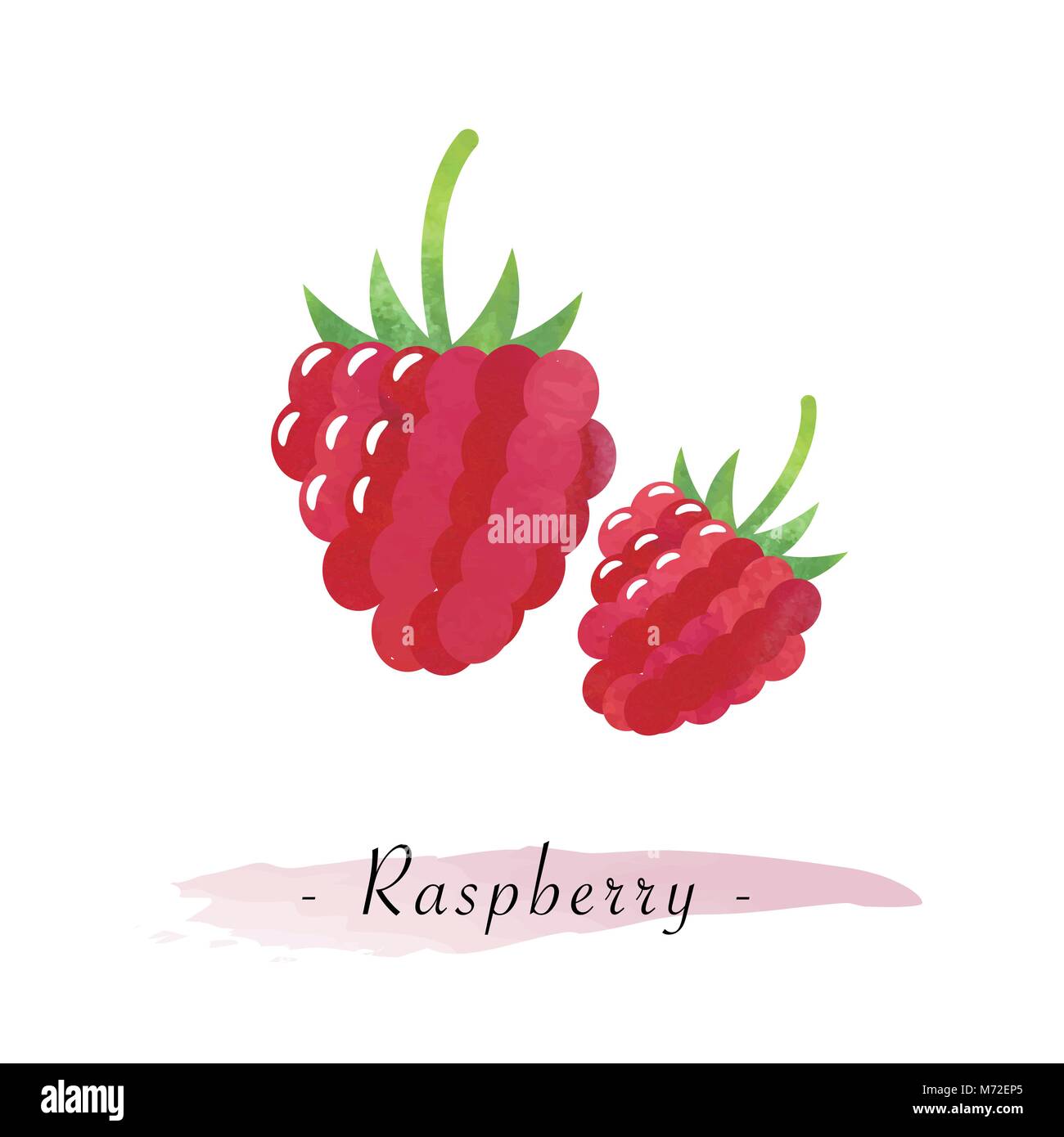 Colorful watercolor texture vector healthy fruit raspberry Stock Vector ...