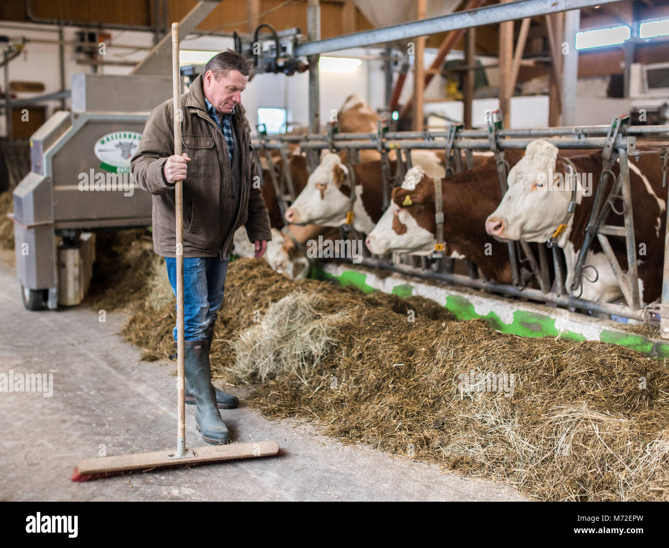 Farmer stable work 1 Stock Photo - Alamy