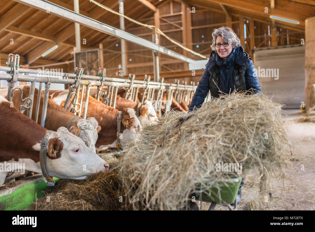 Farmers wife stable work 10 Stock Photo - Alamy
