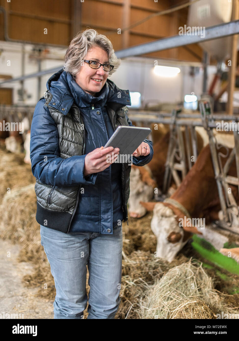 Farmers wife stable work 4 Stock Photo - Alamy