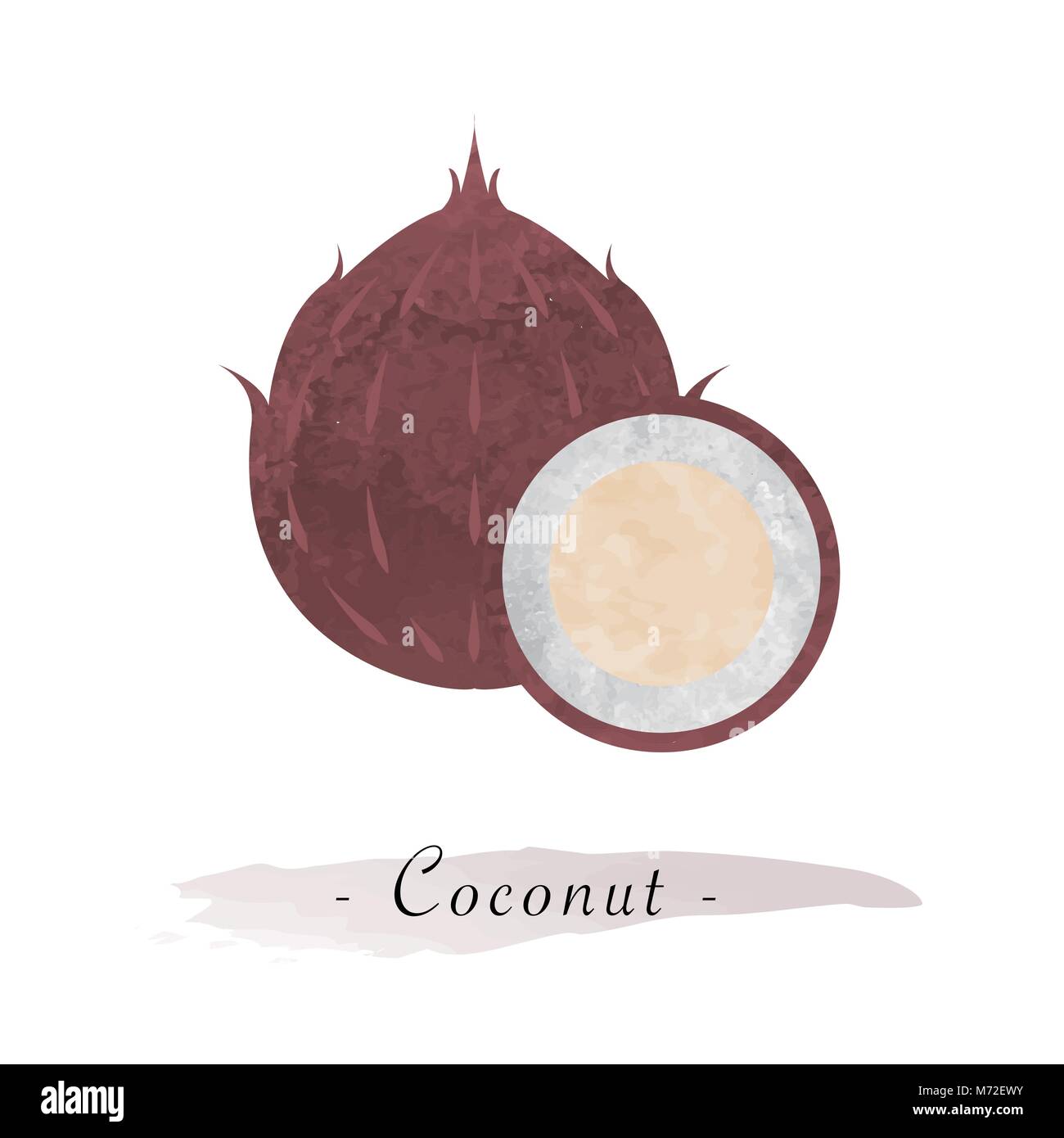 Colorful watercolor texture vector healthy fruit coconut Stock Vector ...