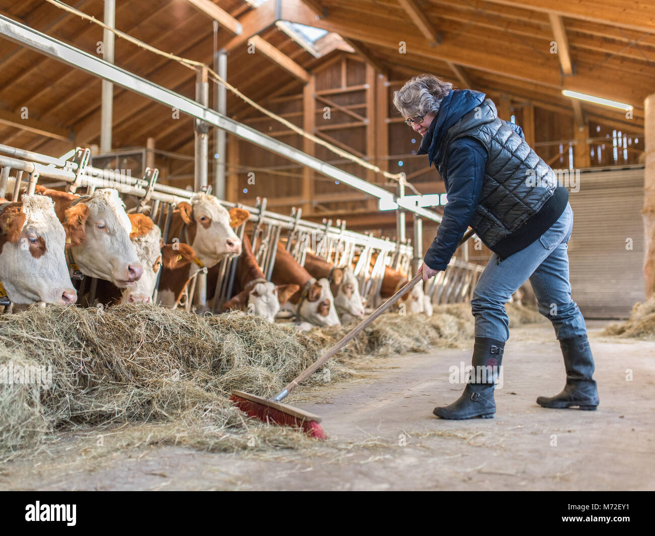 Farmers wife stable work 9 Stock Photo - Alamy