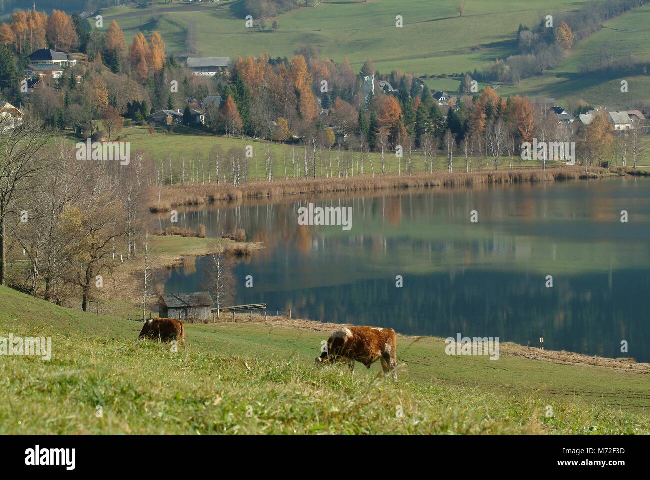 fog mood 17 Stock Photo - Alamy