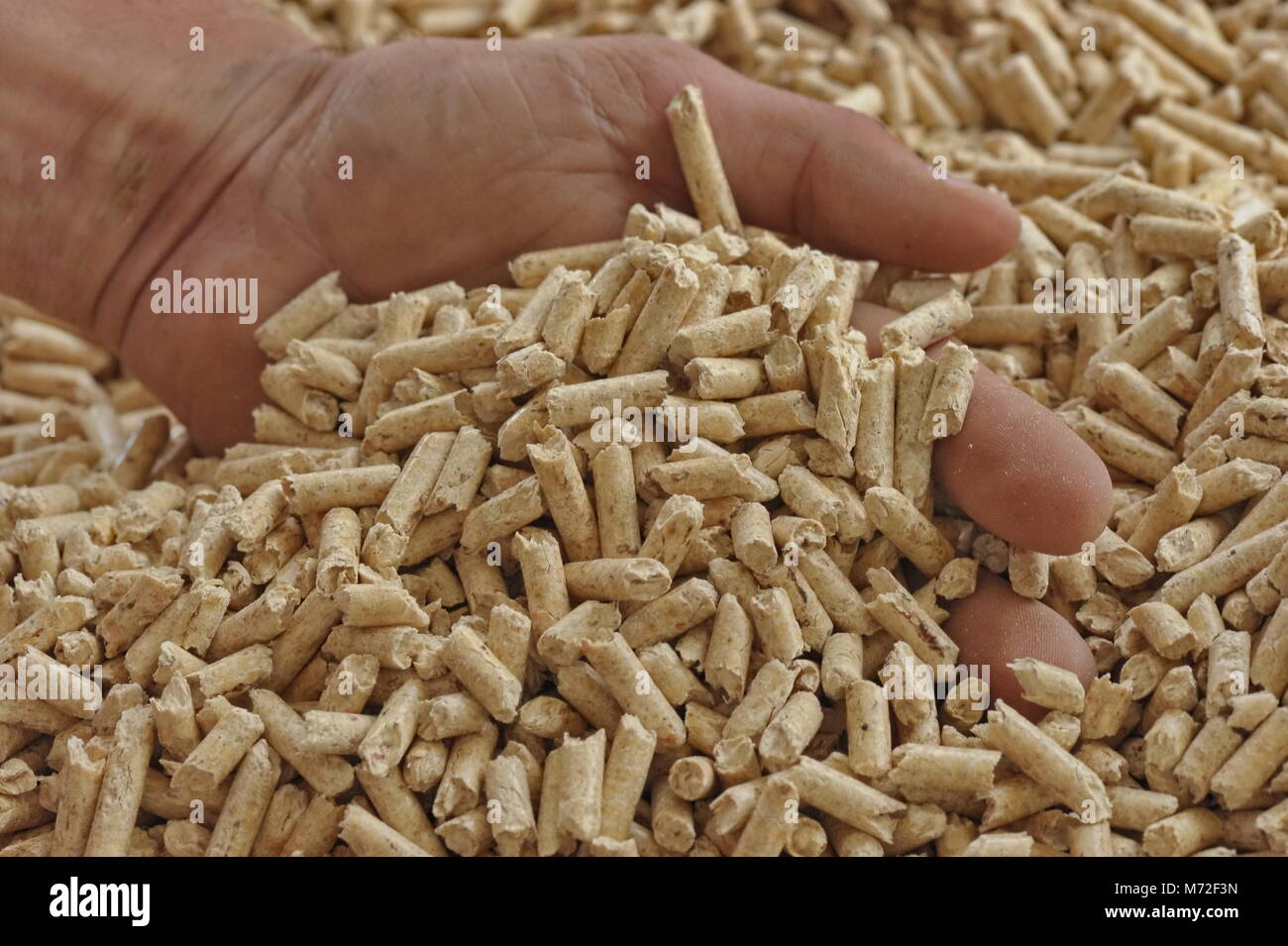 Primary energy sources hi-res stock photography and images - Alamy