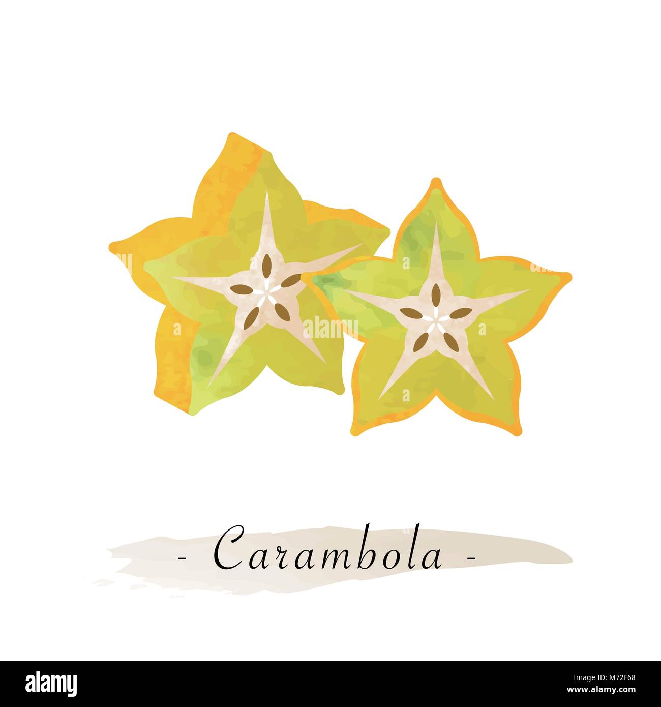 Colorful watercolor texture vector healthy fruit carambola Stock Vector ...