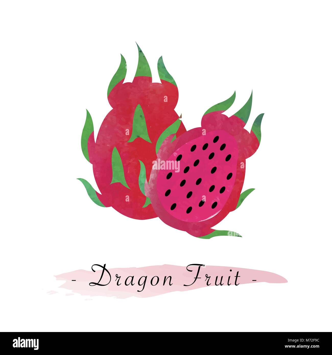 Colorful watercolor texture vector healthy red meat dragon fruit pitaya ...