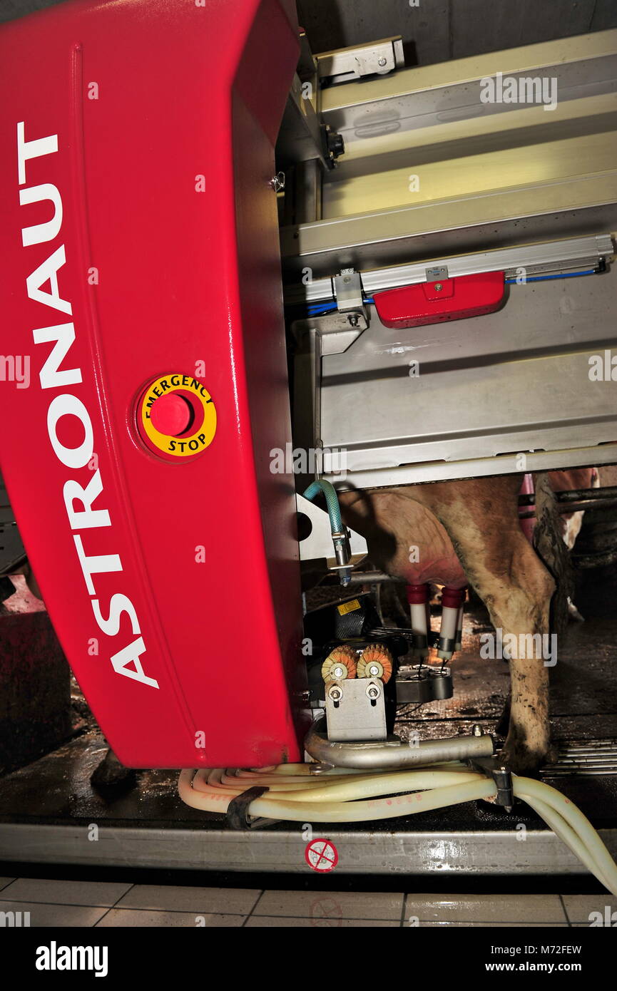 Robot milker hi-res stock photography and images - Alamy