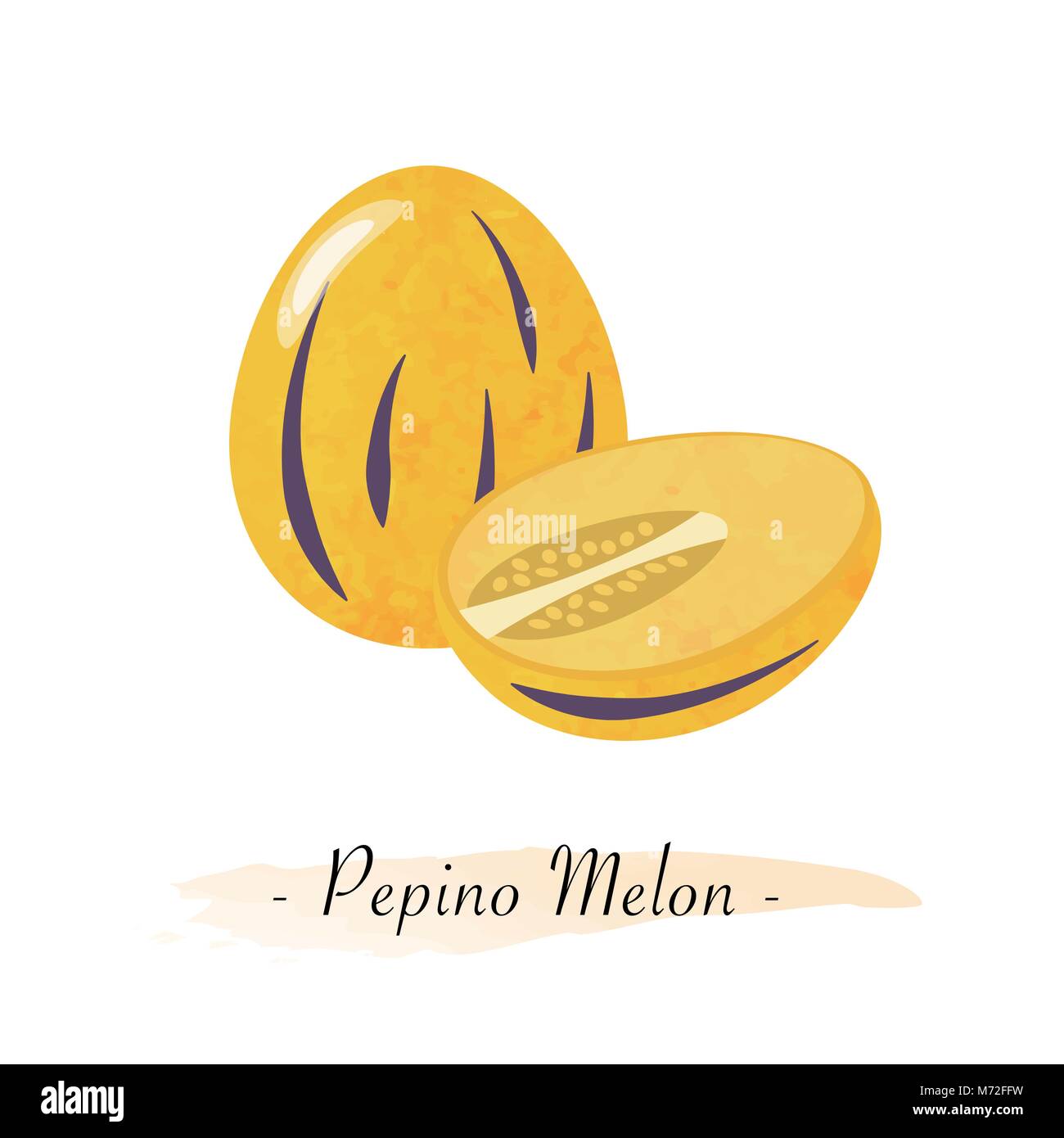 Colorful watercolor texture vector healthy fruit pepino melon Stock ...