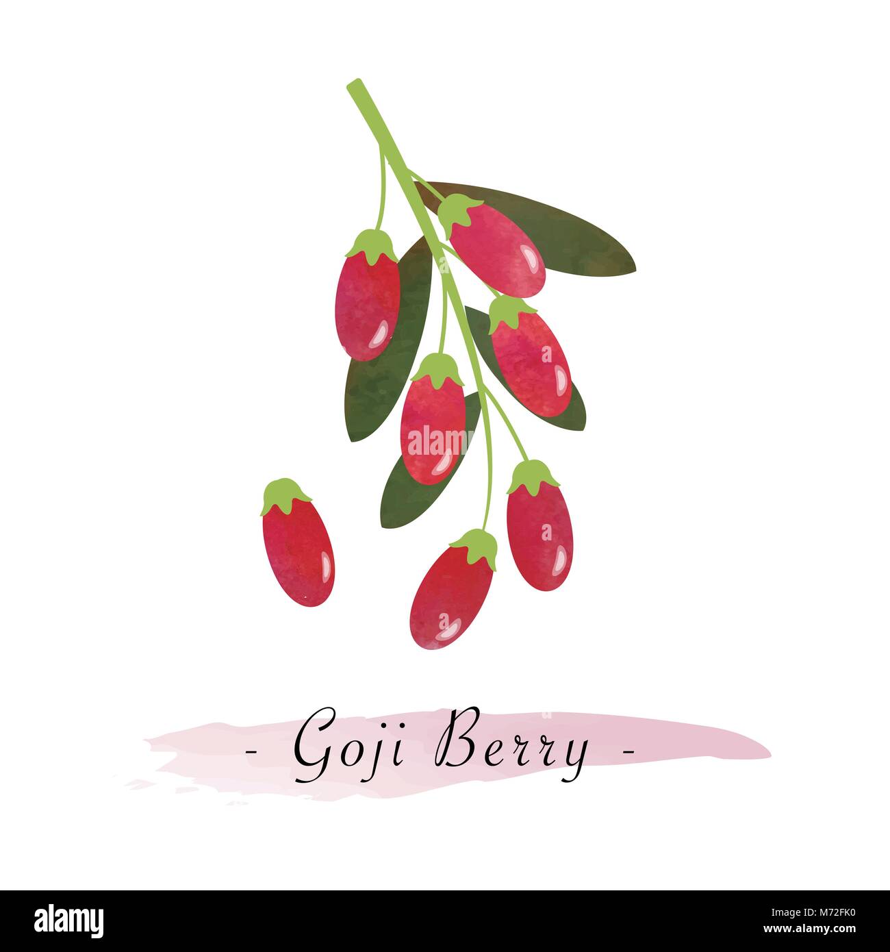 Goji vector vectors hi-res stock photography and images - Alamy