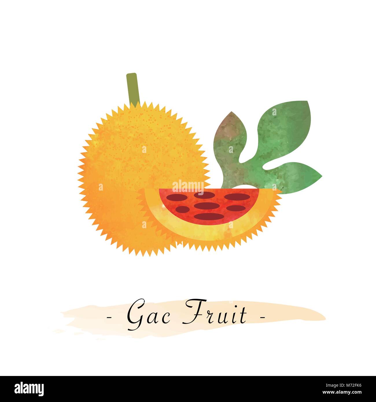 Colorful watercolor texture vector healthy yellow gac fruit Stock ...