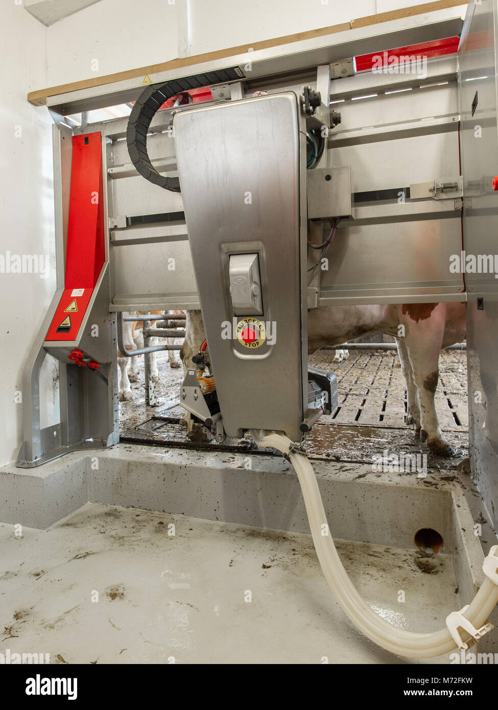 Milk robot 36 Stock Photo - Alamy