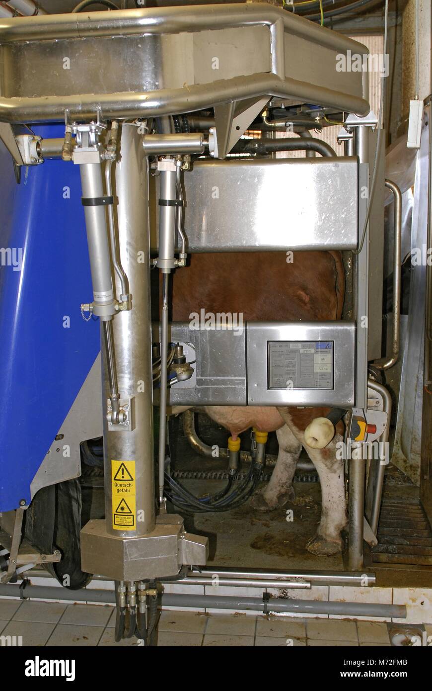 Milk robot 8 Stock Photo - Alamy