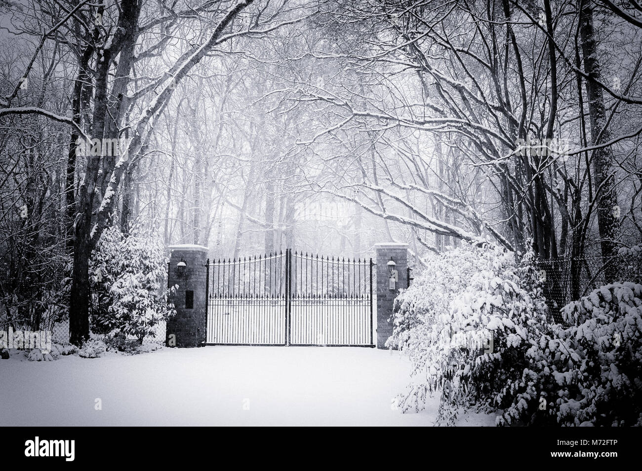 Haunted garden hi-res stock photography and images - Alamy