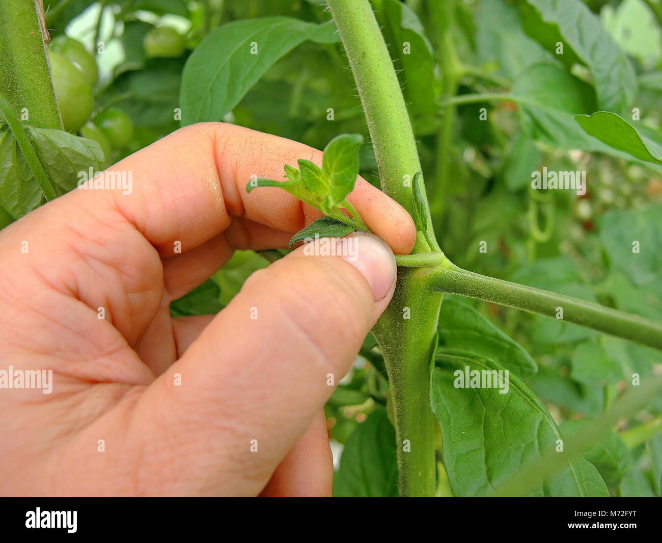 Pinch off hi-res stock photography and images - Alamy