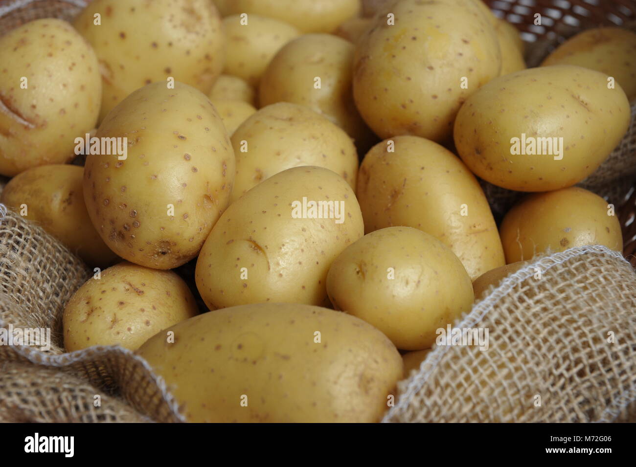 6 potatoes hi-res stock photography and images - Alamy