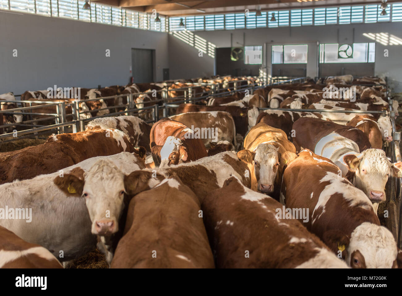 Quarantine barn 1 Stock Photo - Alamy