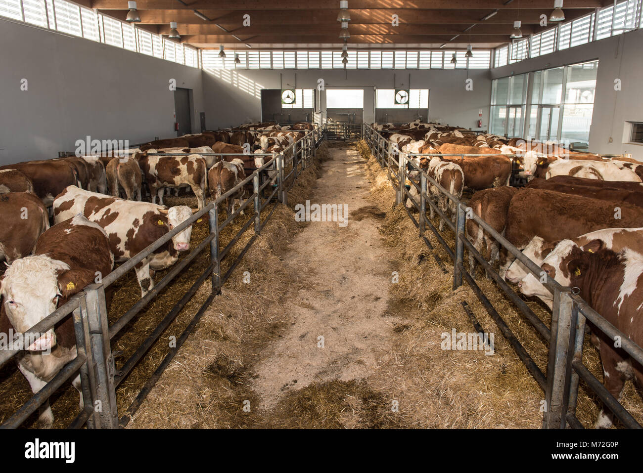 Quarantine barn 4 Stock Photo - Alamy