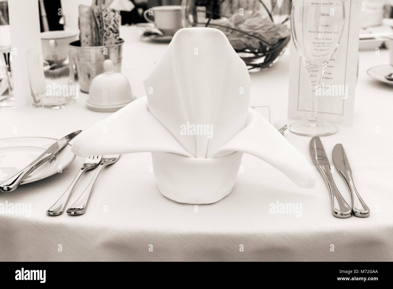 Condiments on Wedding Table Stock Photo - Alamy