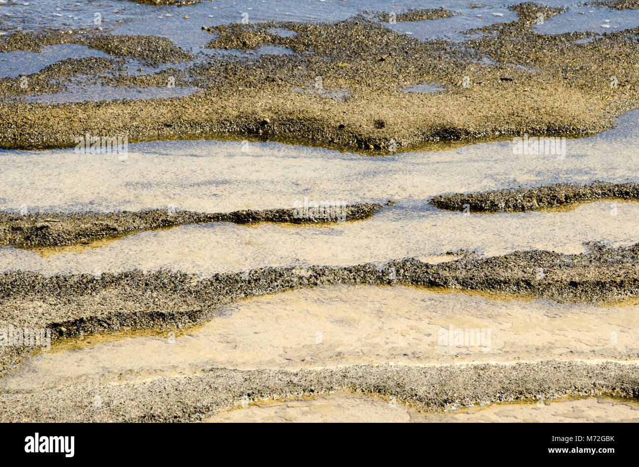 Underwater texture of a coloful rocky seafloor with stone pieces Stock ...