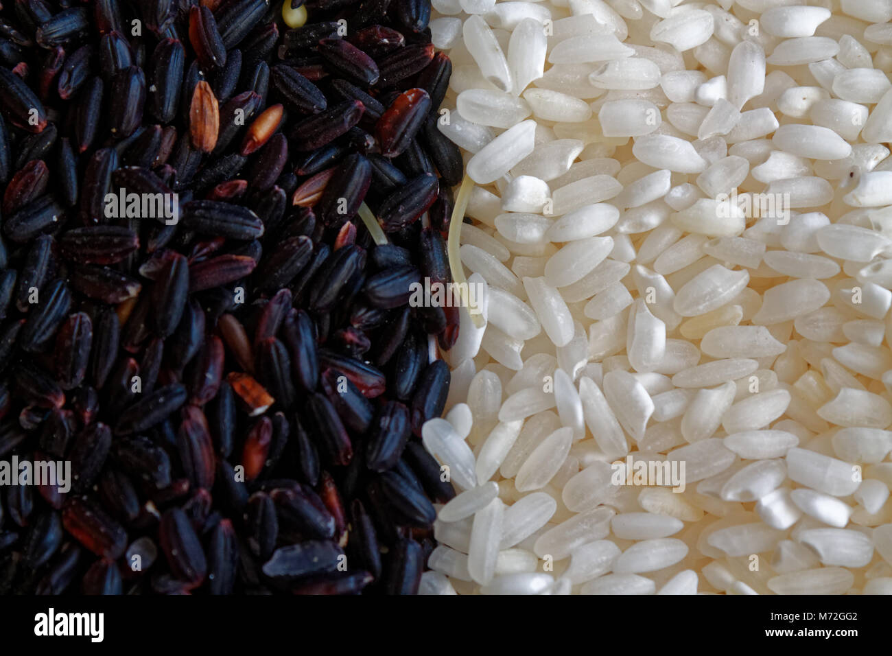 Texture of Coarse black and short white rice The concept of proper ...