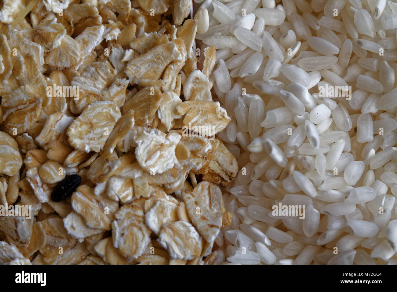 The texture of oatmeal separated with white rice. The concept of proper ...