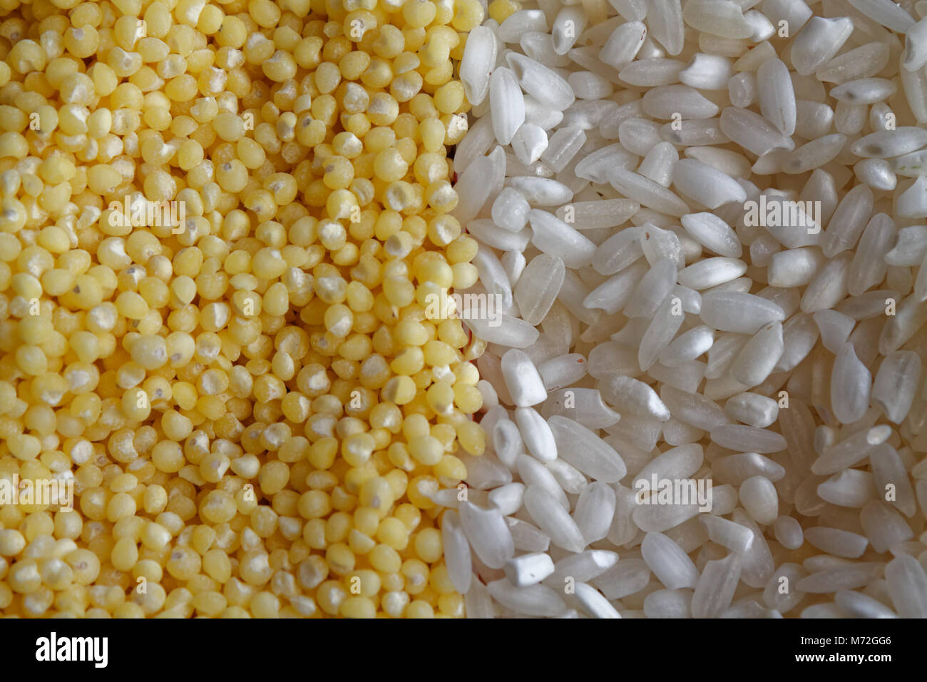 Yellow grain millet with white rice as texture or background The ...