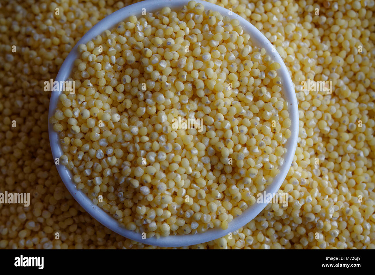 Yellow grain millet in small plate as texture or background The concept ...