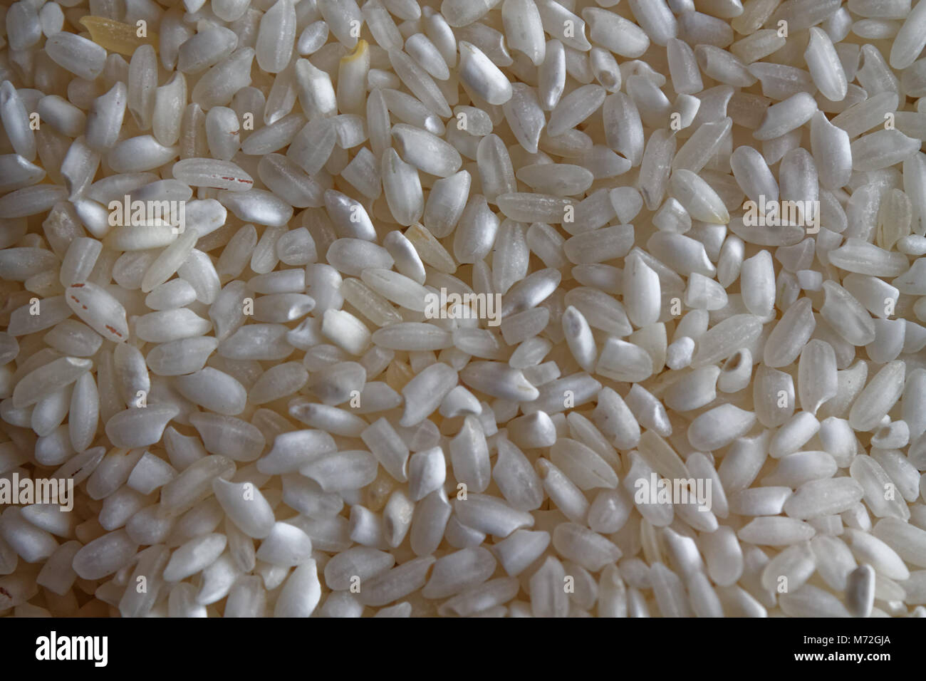 Rice organic texture, Asian uncooked short milled rice as background ...