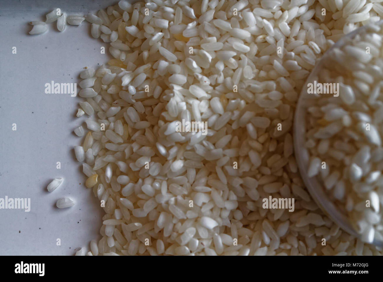 Organic rice in small plate texture, Asian uncooked short milled rice ...