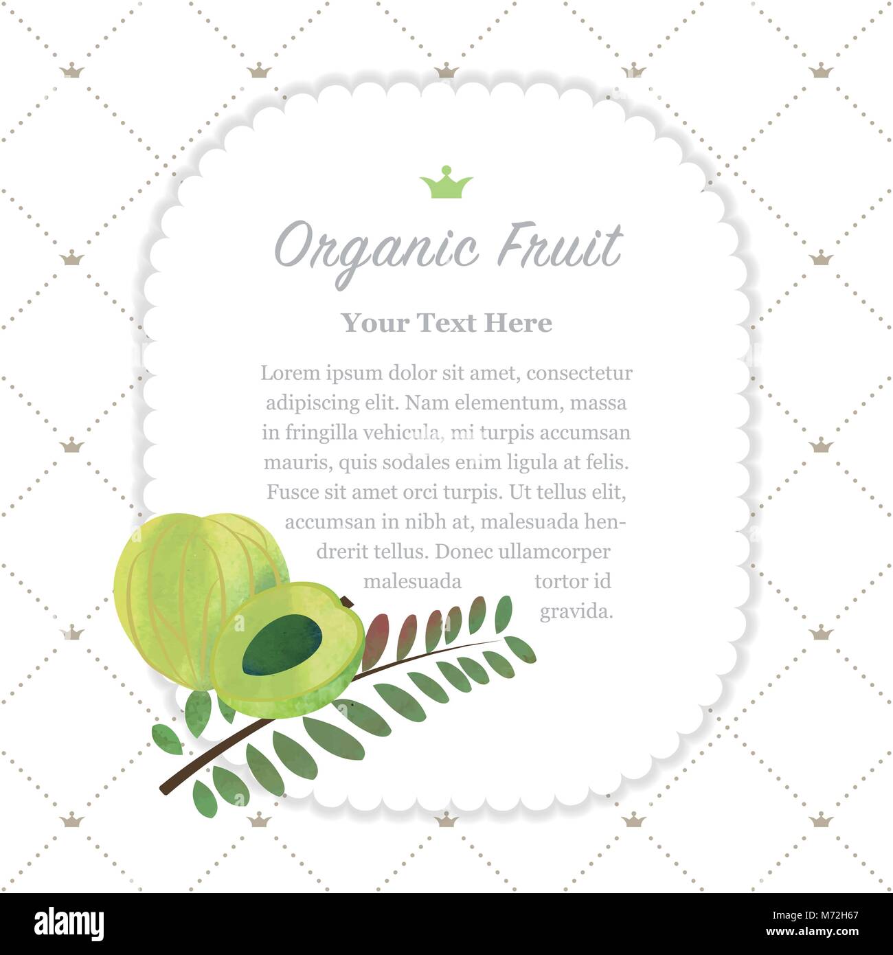 Colorful watercolor texture nature organic fruit memo frame amla fruit ...