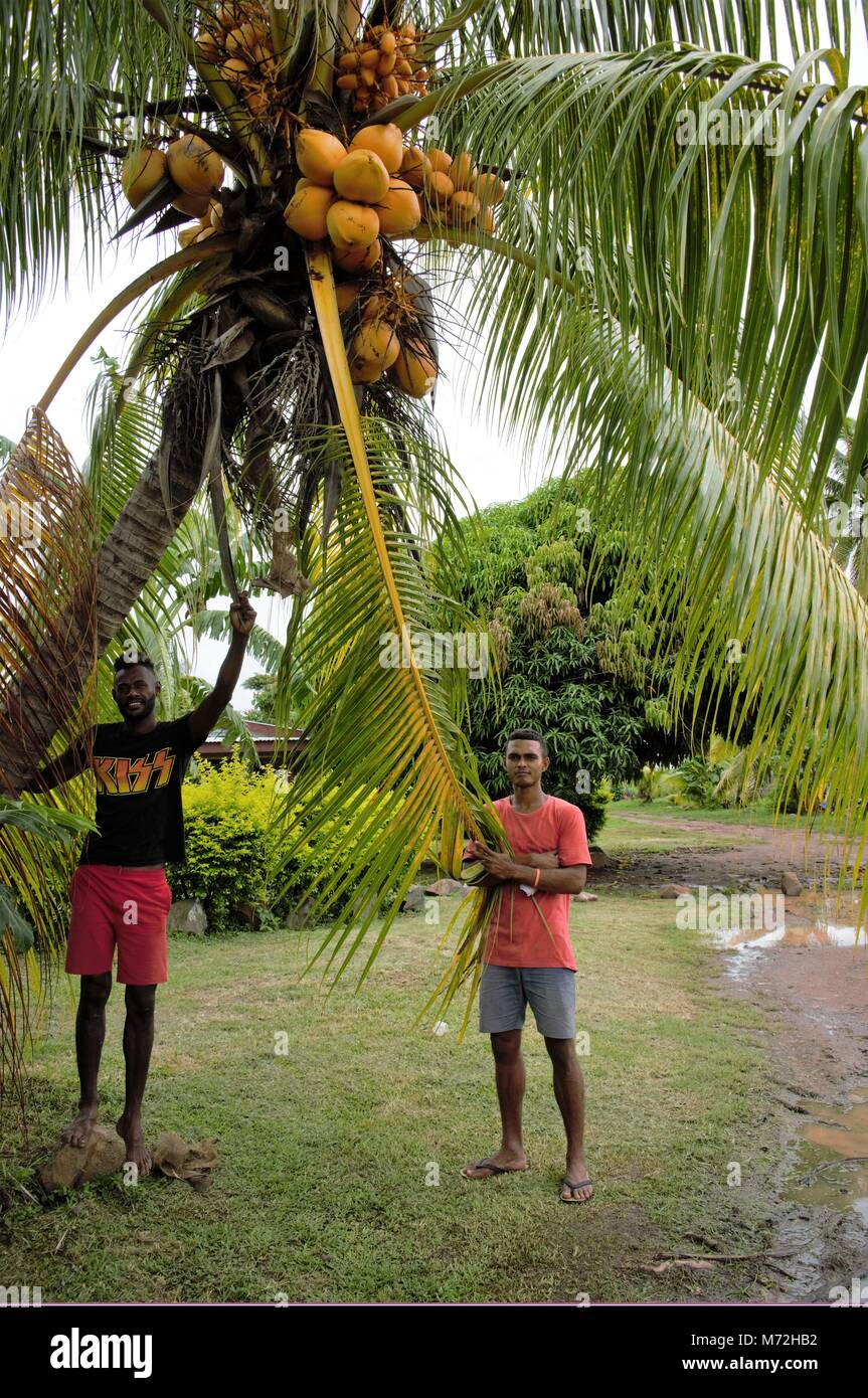 Fijian woman viti levu fiji hi-res stock photography and images - Alamy