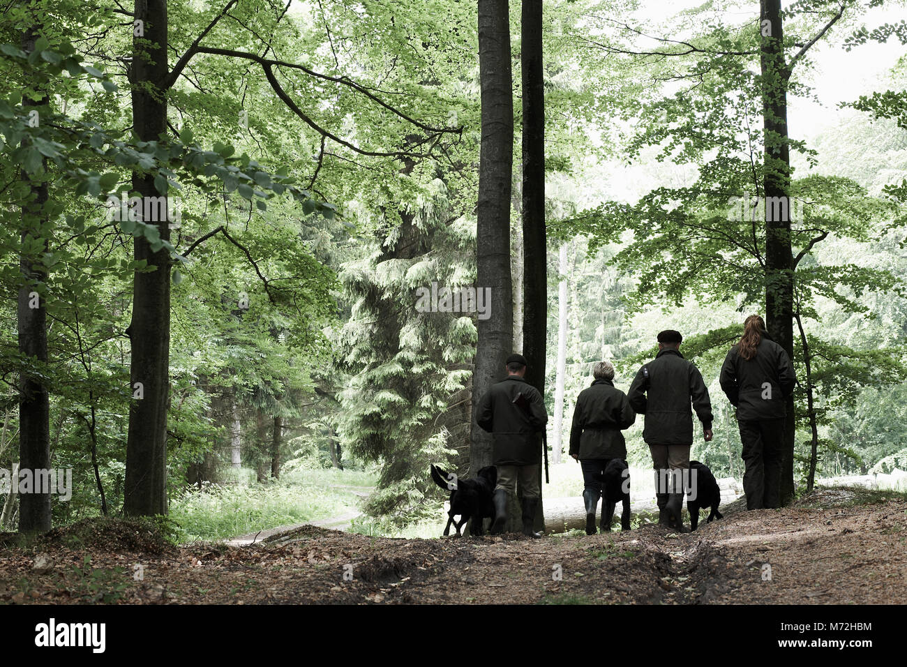 Hunters walking in the wood Stock Photo - Alamy
