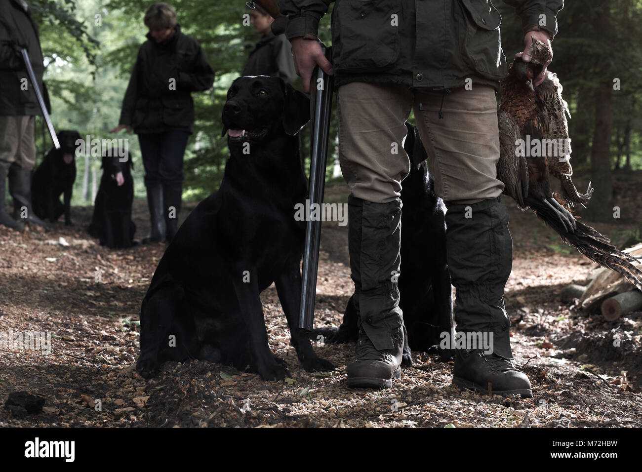 Hunters walking in the wood Stock Photo - Alamy
