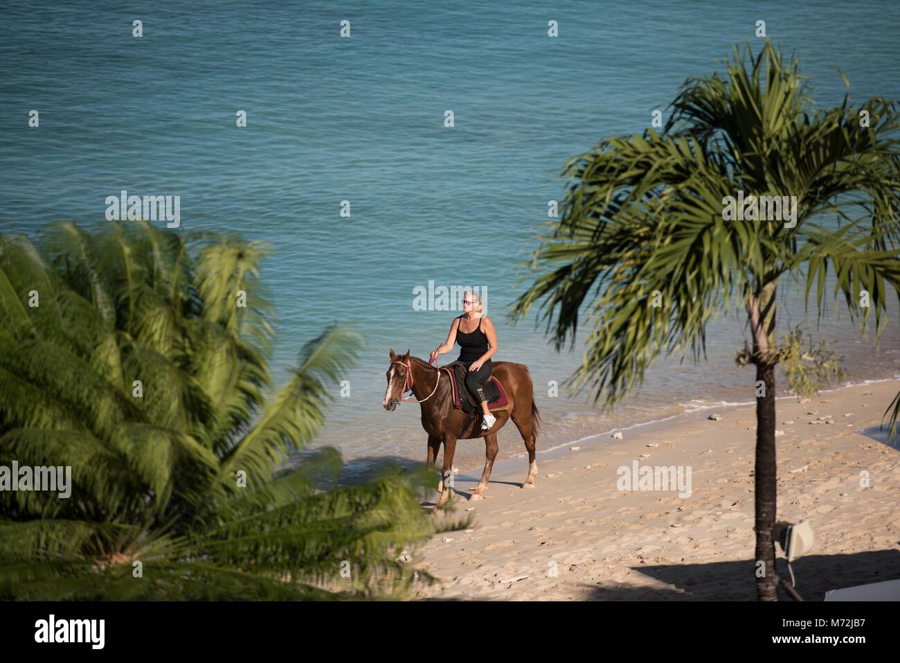 Horse riding on the beach in Barbados Stock Photo - Alamy