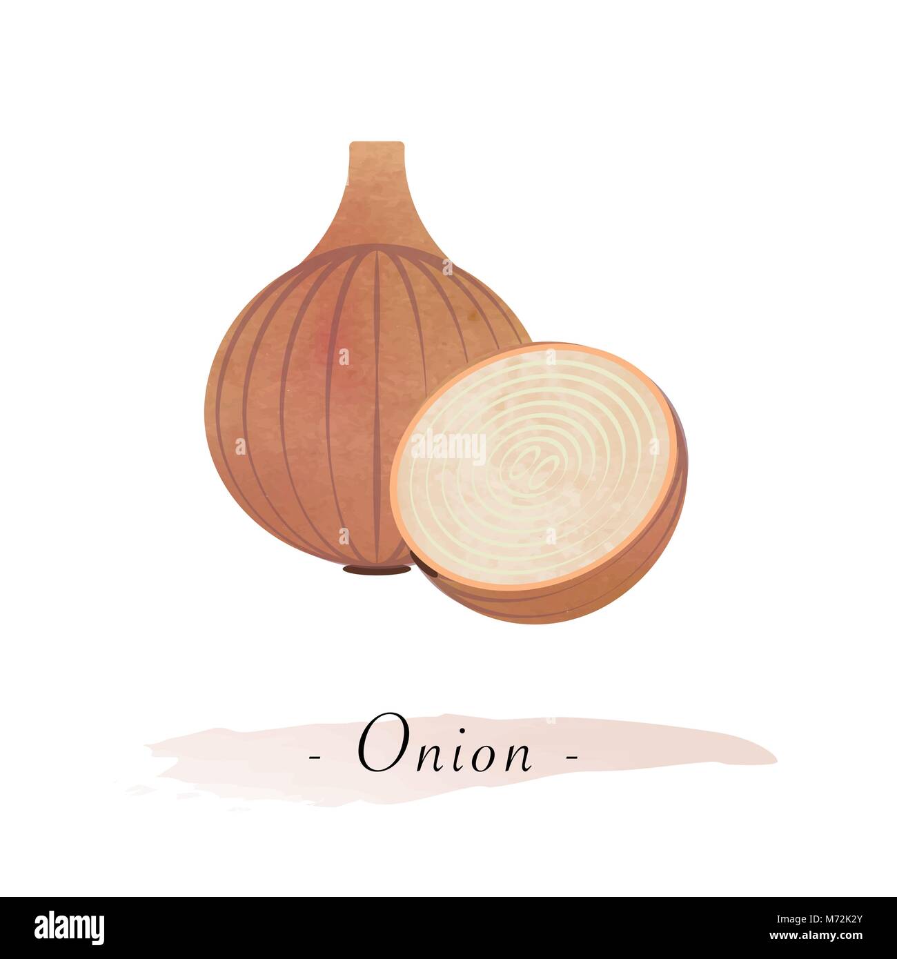 Colorful watercolor texture vector healthy vegetable onion Stock Vector ...