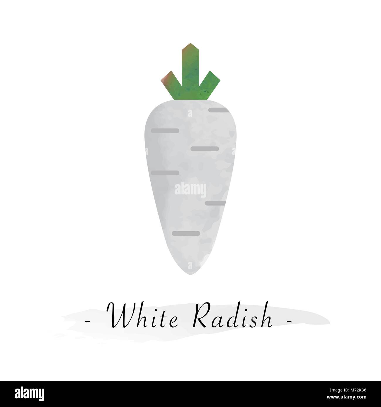 Colorful watercolor texture vector healthy vegetable white radish Stock ...