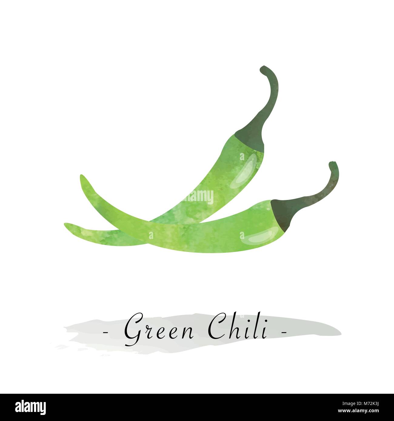 Colorful watercolor texture vector healthy vegetable green chili Stock ...