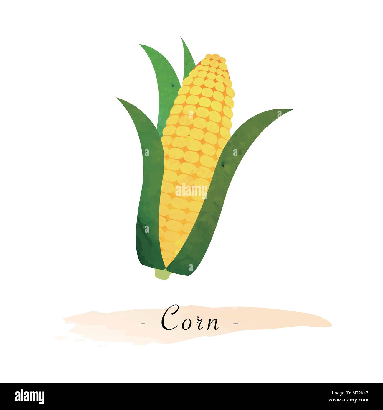 Colorful watercolor texture vector healthy vegetable corn Stock Vector ...