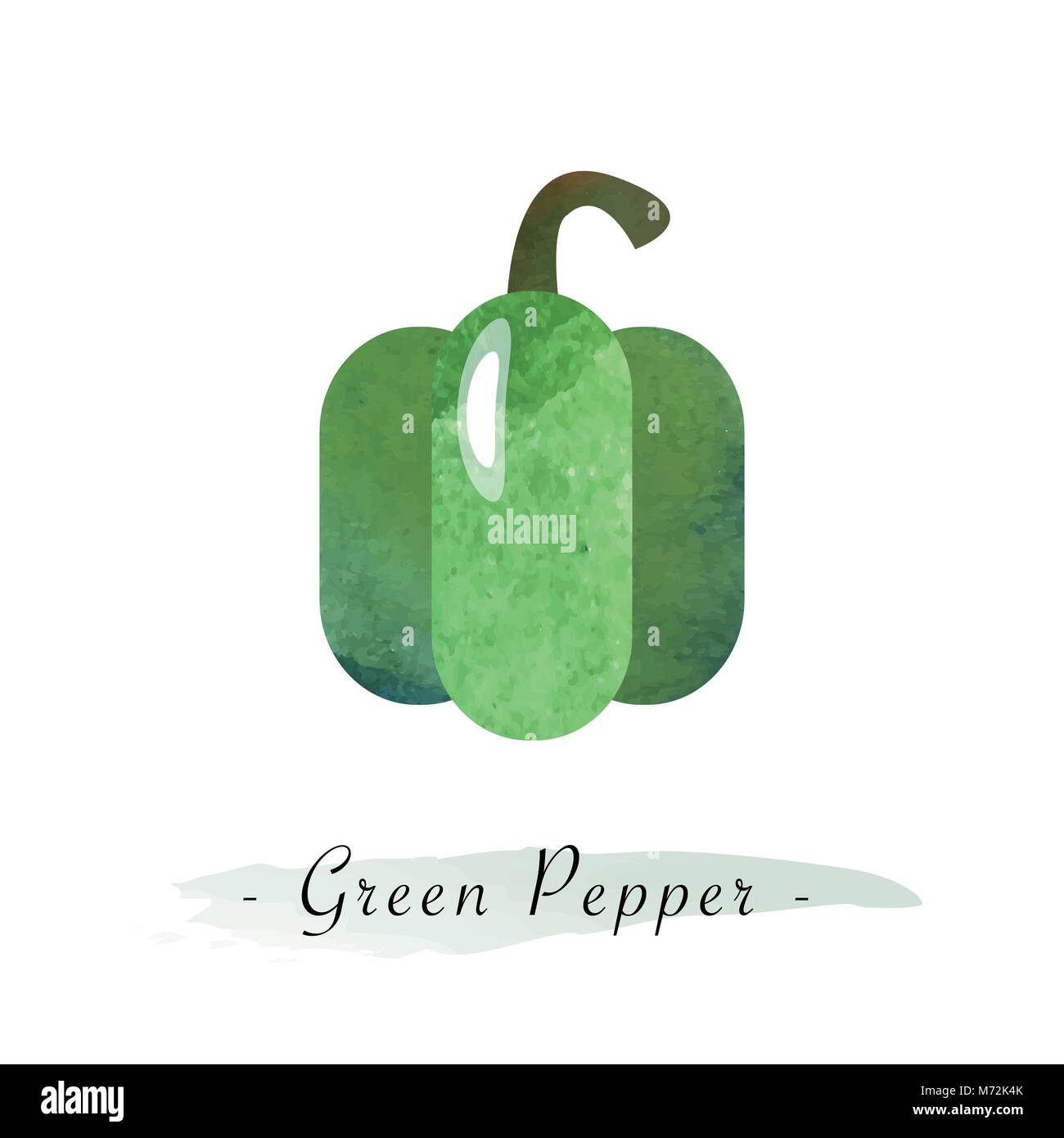 Colorful watercolor texture vector healthy vegetable green pepper Stock ...