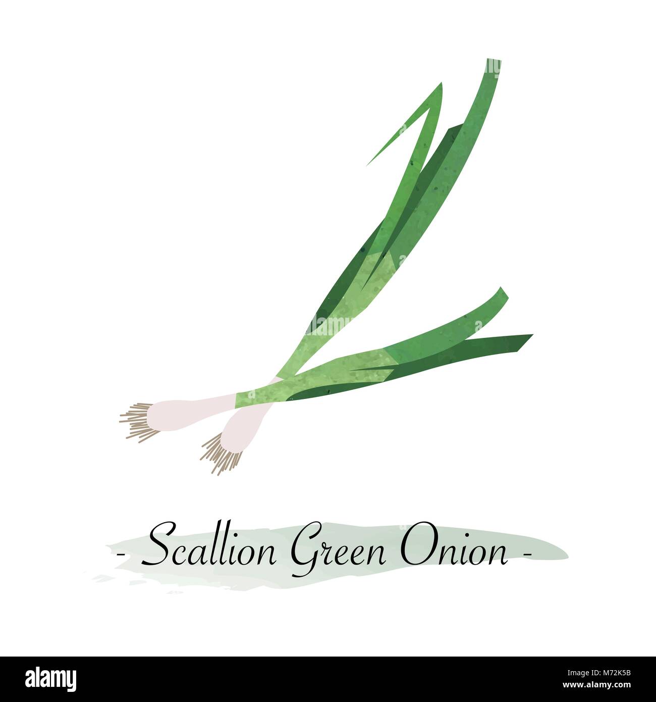 Scallion garden Stock Vector Images - Alamy