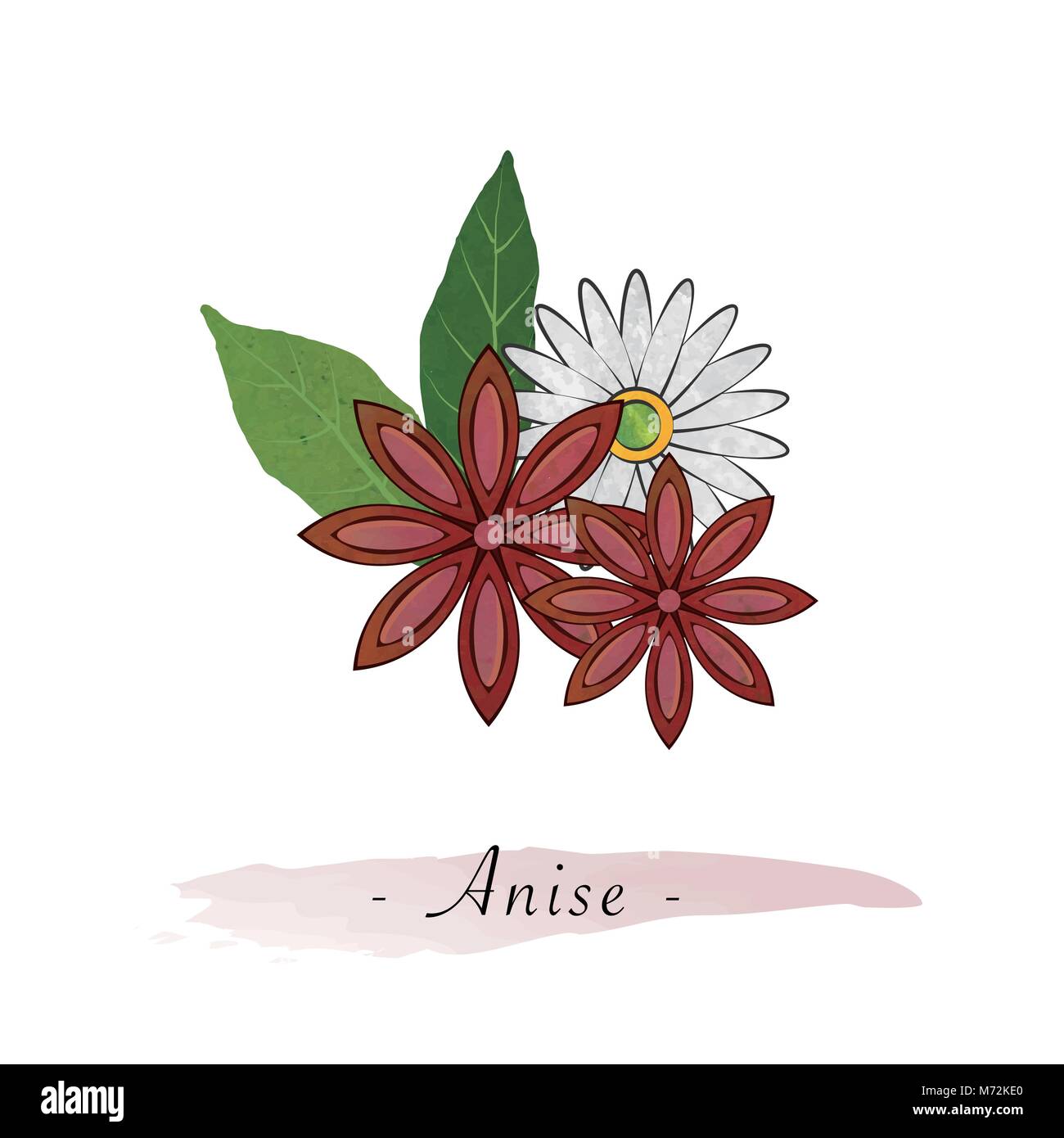 Colorful watercolor texture vector healthy vegetable anise leaf flower ...