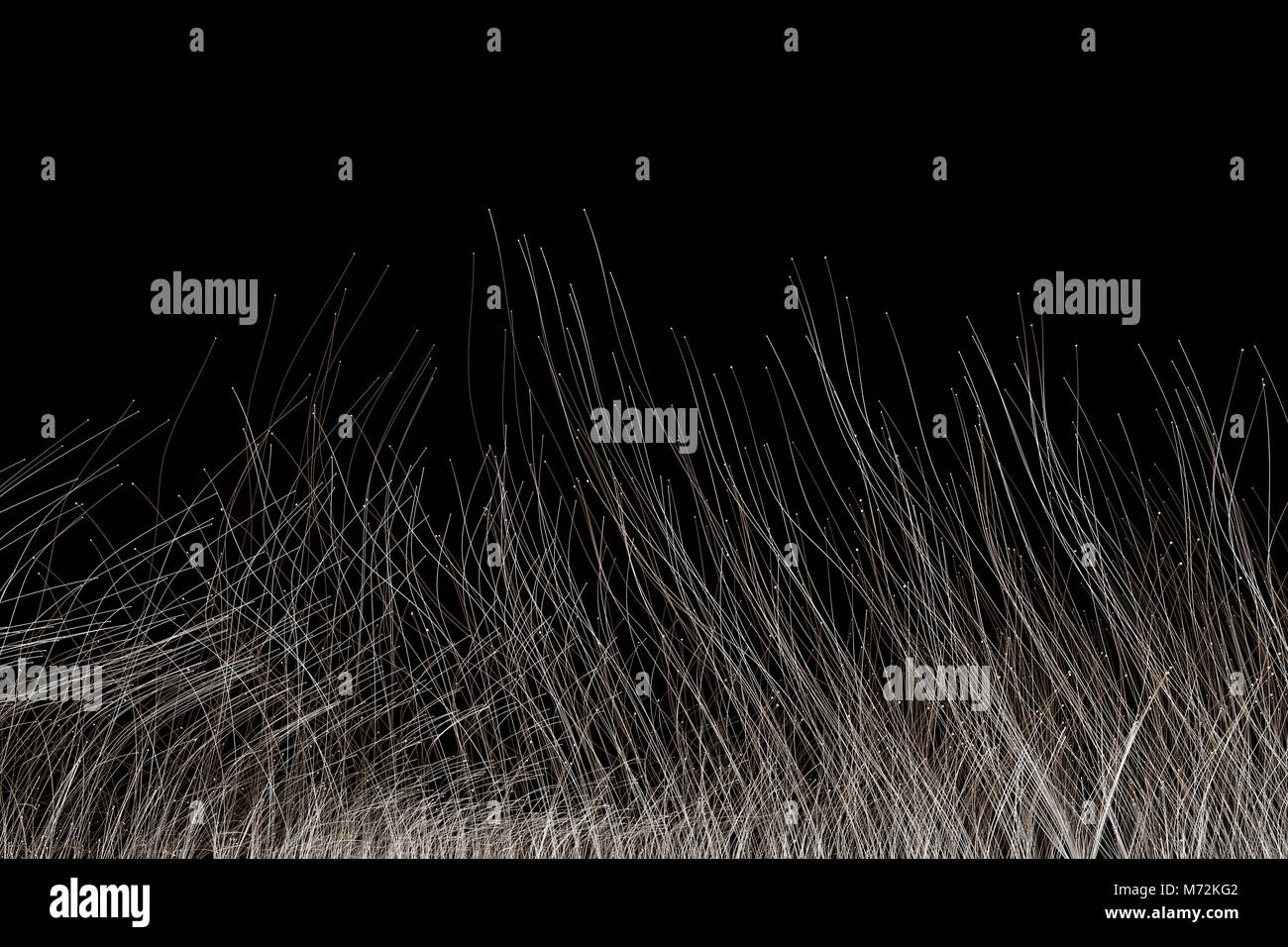 Future Digital Technology, Network Connection, Programming Stock Photo ...