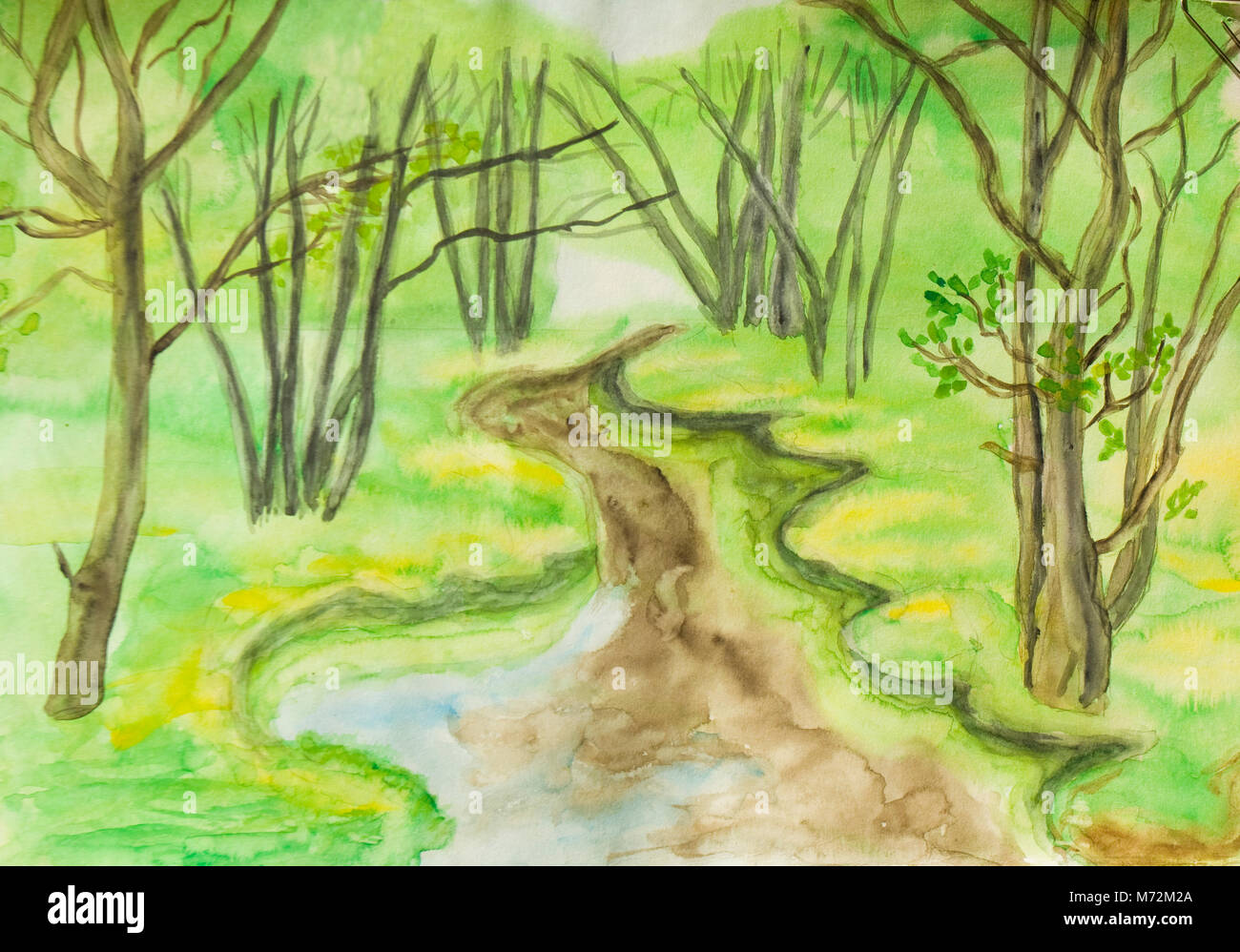 Colored Forest Drawing
