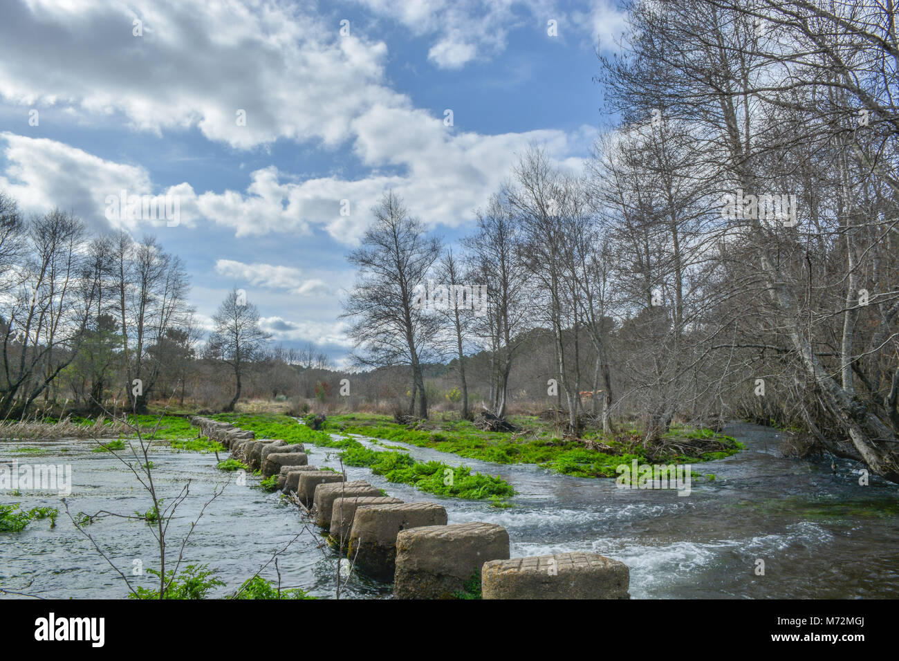 pedestrian rocks passage on river in the middle of forest with small ...