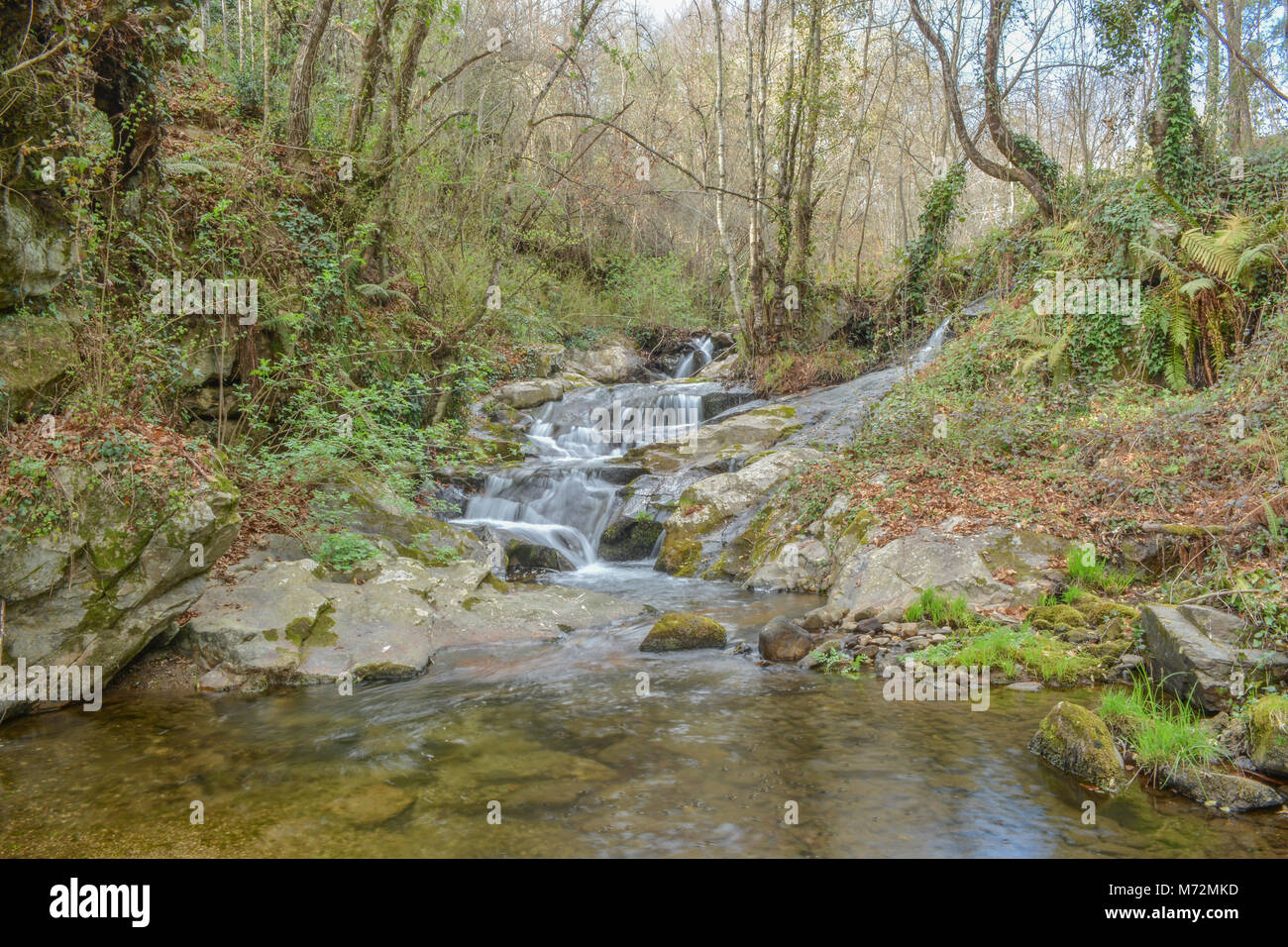 small river cascade on forest Stock Photo - Alamy