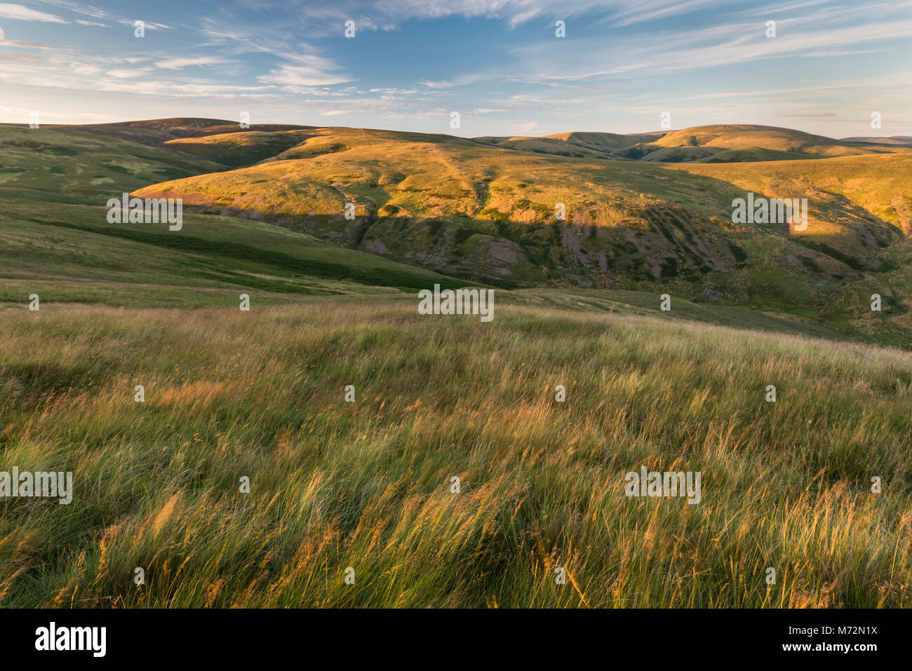 Moorland in Blind Burn valley from Yearning Law, Northumberland ...