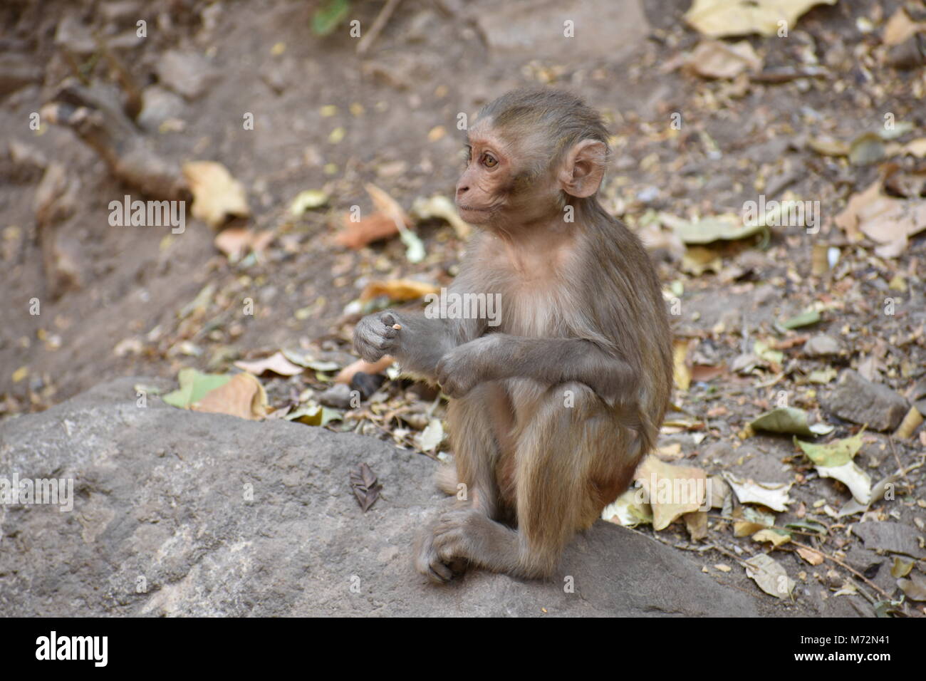Old black and white family snap hi-res stock photography and images - Alamy
